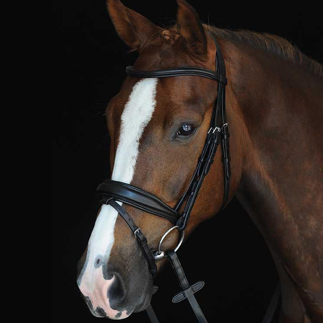 Collegiate Mono Crown Padded Raised Flash Bridle – GS Equestrian